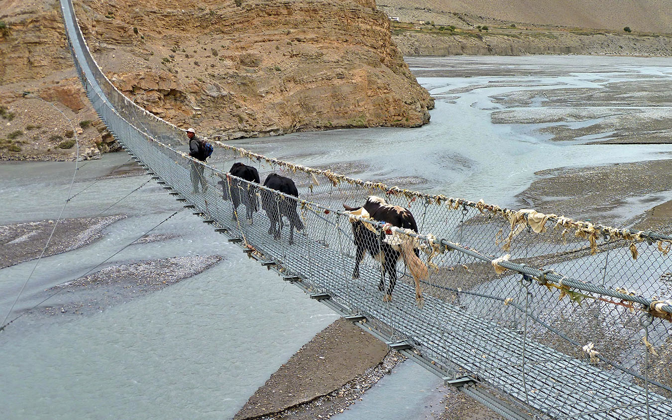 Cultural Exchange: Building Bridges - LittleTake