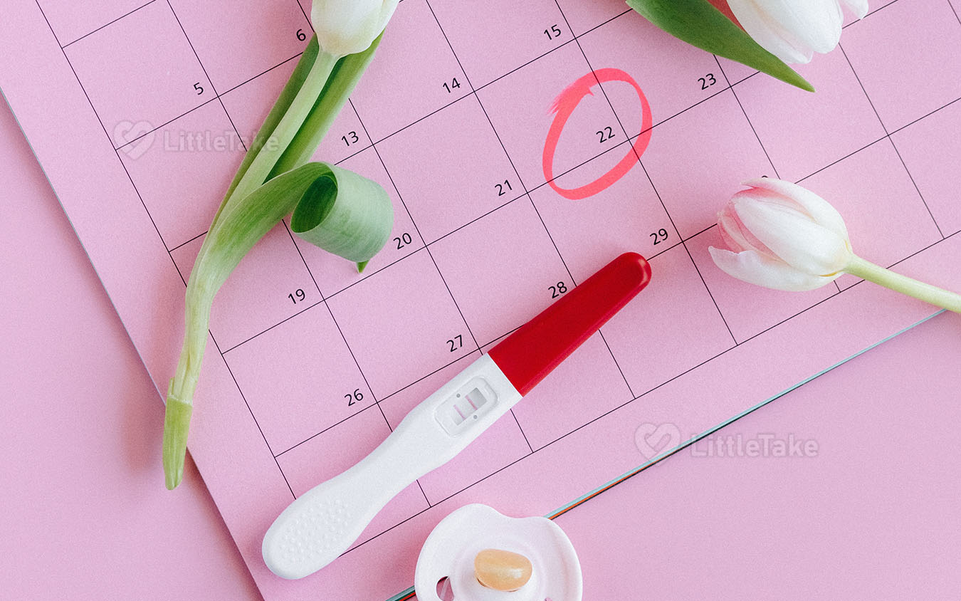 Understanding Your Fertility