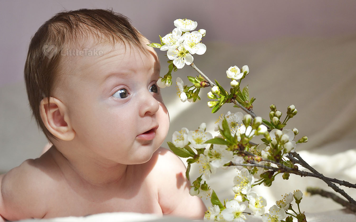 Understanding Baby's Emotional Development - LittleTake